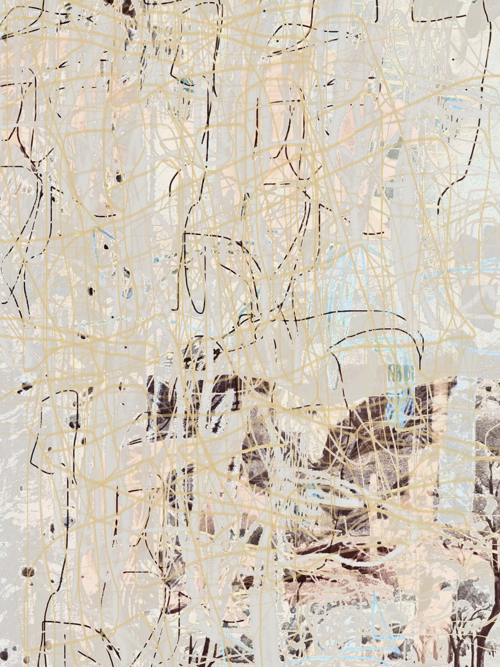 on show – constantine nicholas